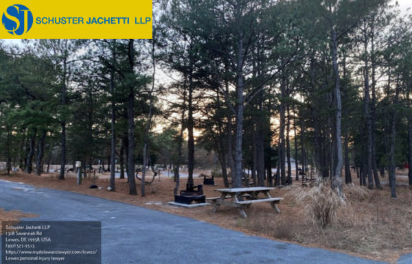Gorgeous Parks To Explore in Lewes, DE | My Delaware Lawyer - Schuster ...